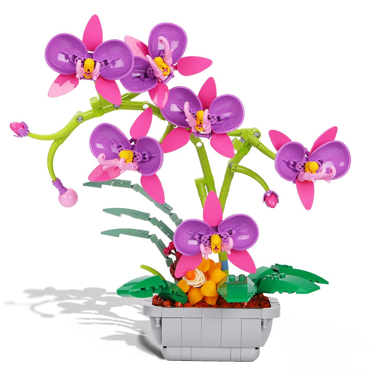 Amazon.com: WISEPLAY Your Orchid Set - Build Your Own Orchid Flower ...