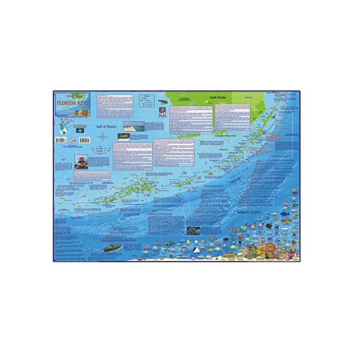 Buy Franko Maps Florida Keys Dive Map Laminated Poster Online at ...