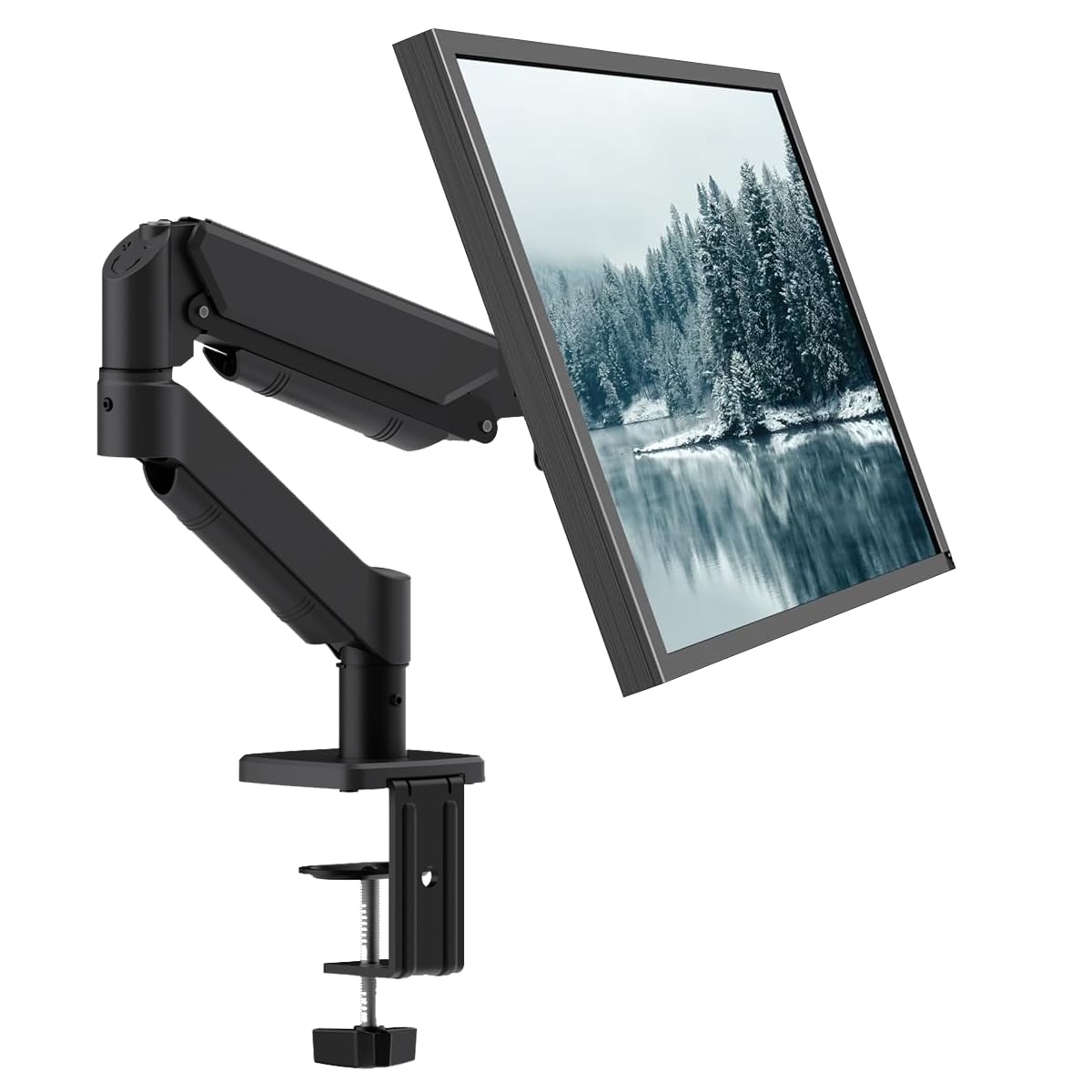 BigPassport Monitor Arm Stand with Gas Spring for 13-32 Inch Screen ...