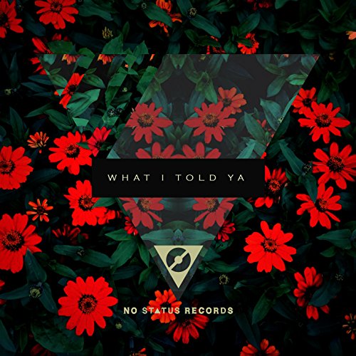 Amazon.com: What I Told Ya : Subacid: Digital Music