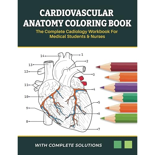 Snapklik.com : Cardiovascular Anatomy Coloring Book - The Complete ...
