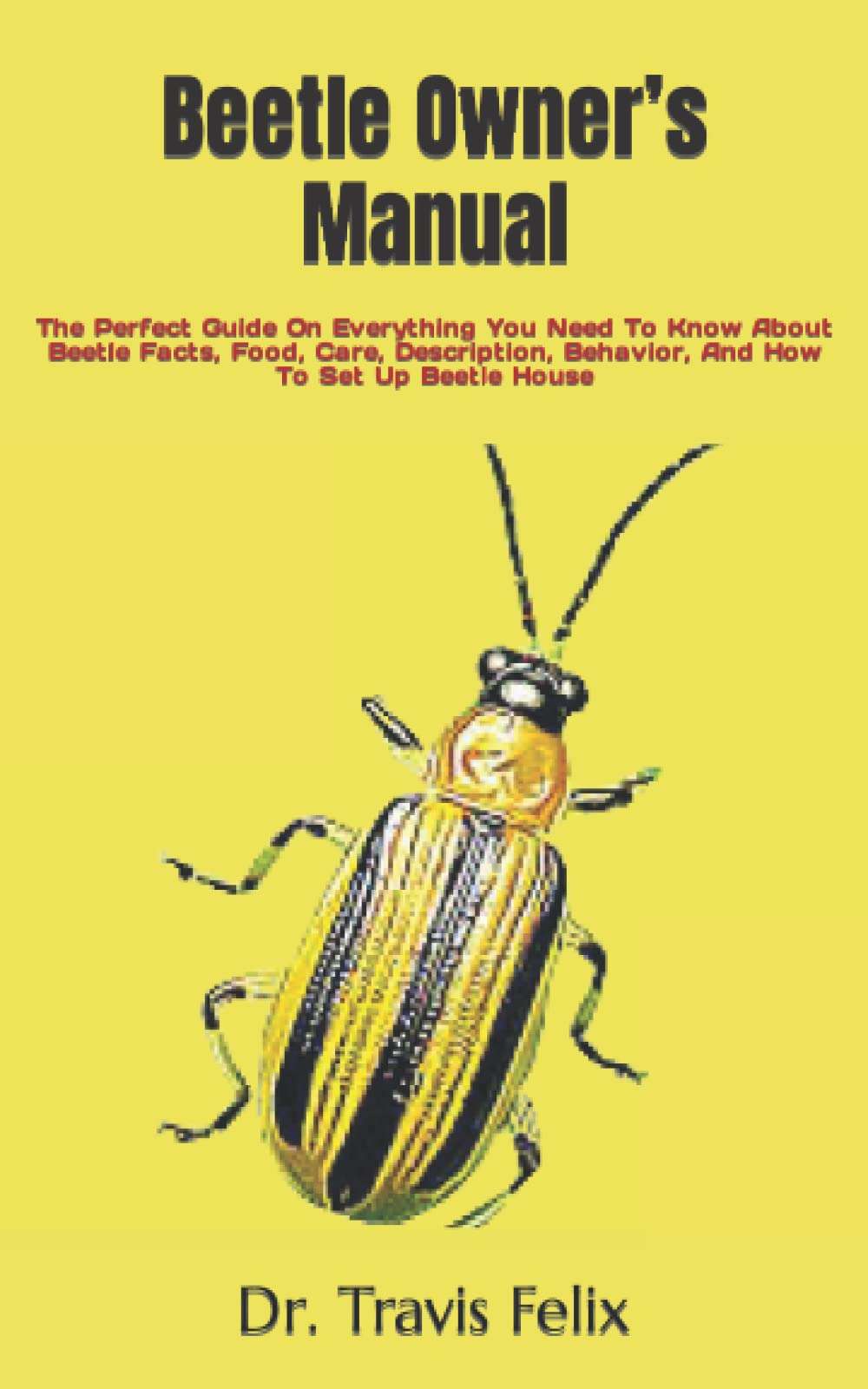 Buy Beetle Owner’s Manual: The Perfect Guide On Everything You Need To ...