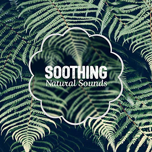 Amazon Music - Nature Sound CollectionのSoothing Natural Sounds - Amazon ...