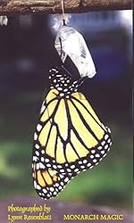 Monarch Magic! Butterfly Activities & Nature Discoveries: Rosenblatt ...