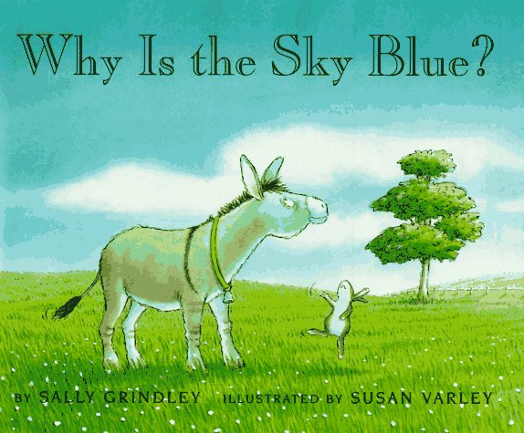 Why Is the Sky Blue?: Grindley, Sally, Varley, Susan: 9780689814860 ...