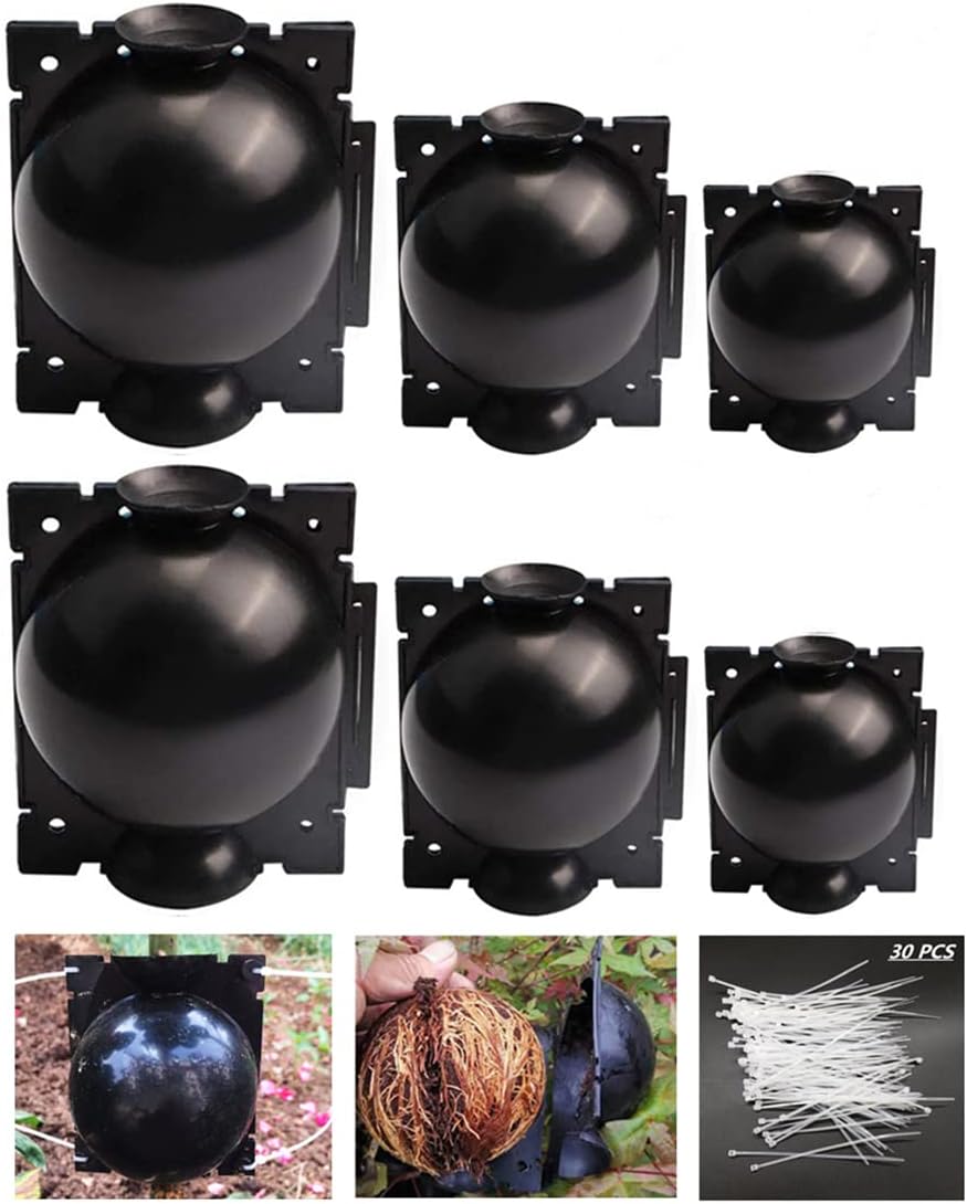 Amazon.com : 7Queen 10Pack Plant Root Growing Box Plant Rooting Device ...