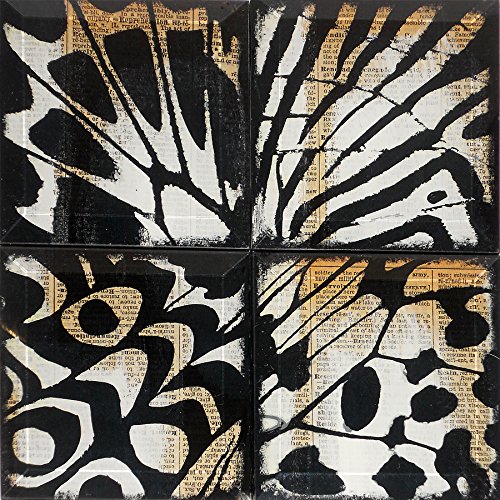 Amazon.com: Butterfly Wing Dictionary Glass Coasters - 4 or 5 Inch ...