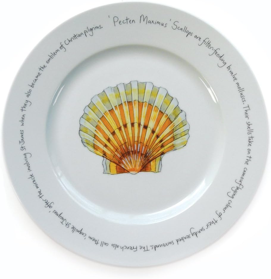 Amazon.com: Jersey Pottery Large Presentation Plate - Scallop : Home ...