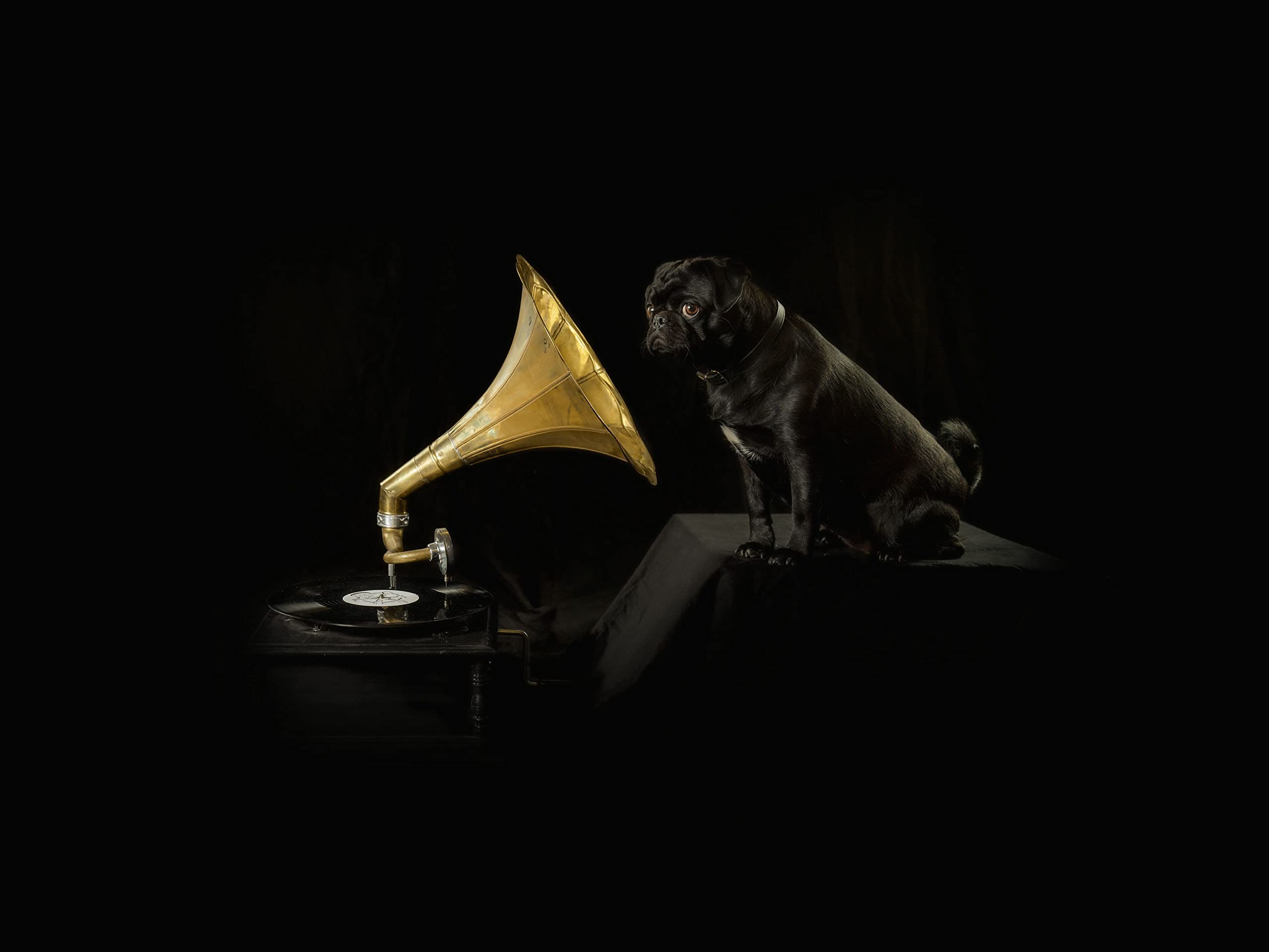 Polterovend [Explicit] Song von Bläck Fööss aus dem Album Immer wigger ...