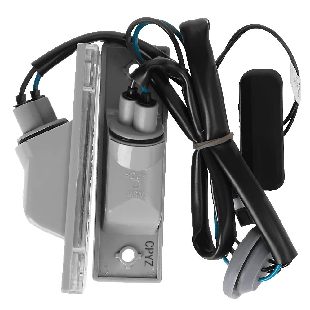 Interruptor de liberación del tronco Botón trasero Placa de matrícula ...