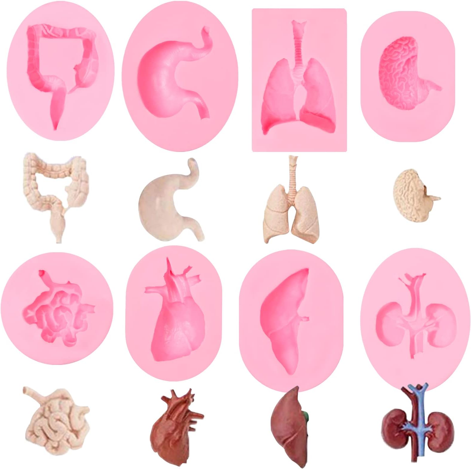 Amazon.com: Human Heart Pop Candy Mold : Home & Kitchen