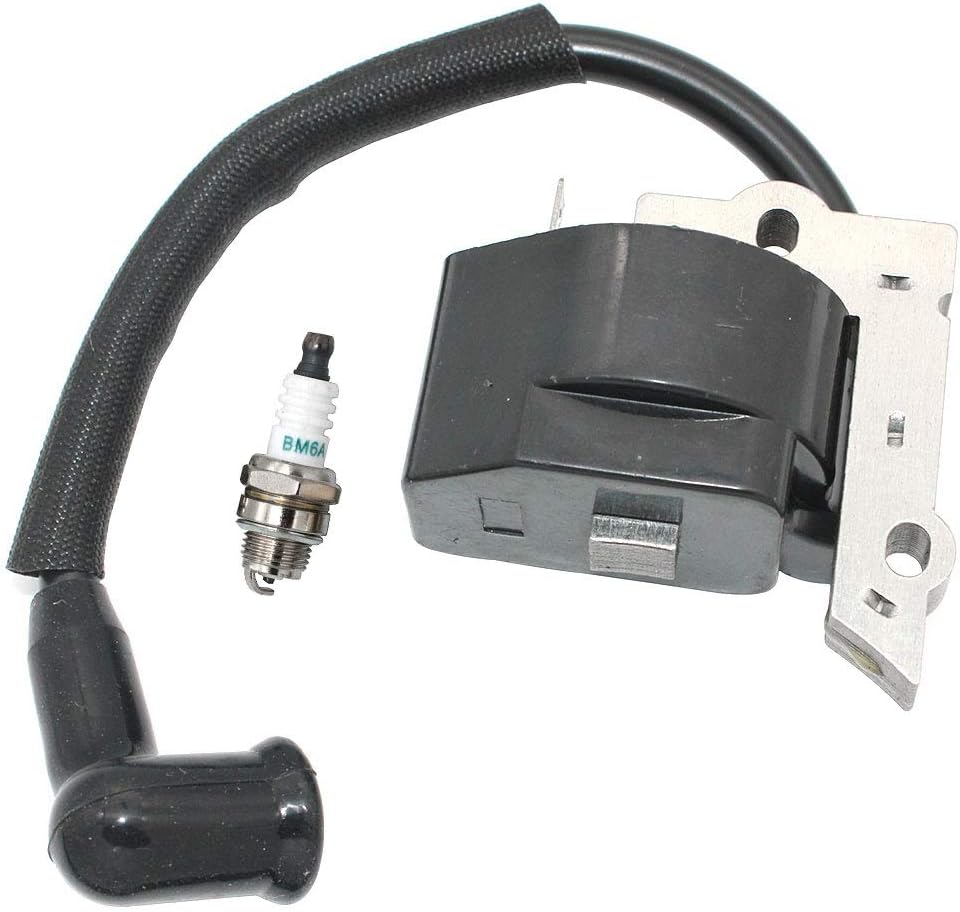 Ignition Module Coil With SPark Plug BM6A For Poulan P1500 P2500 Weed ...
