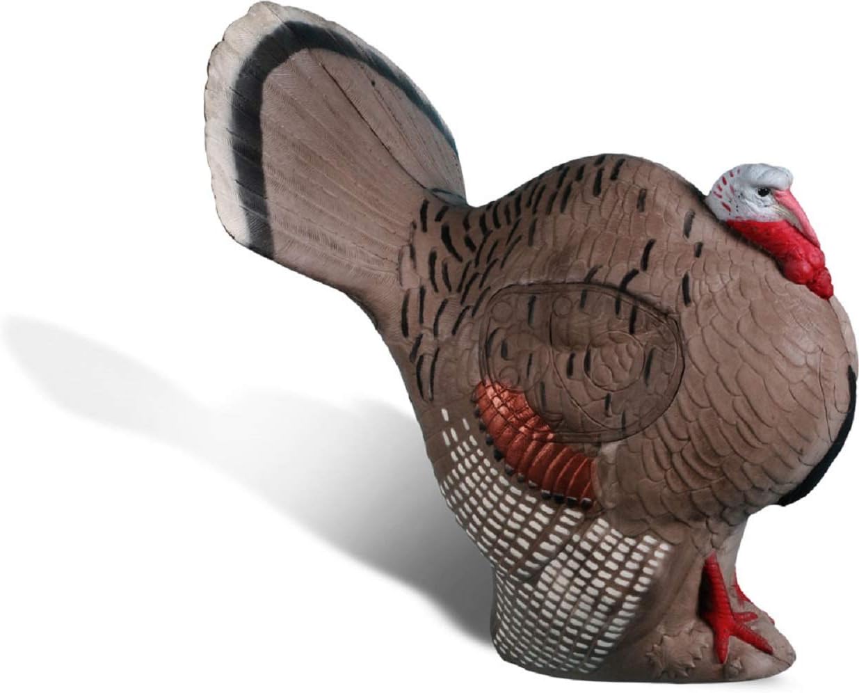 Amazon.com : Rinehart Targets Signature 3D Strutting Turkey Archery ...