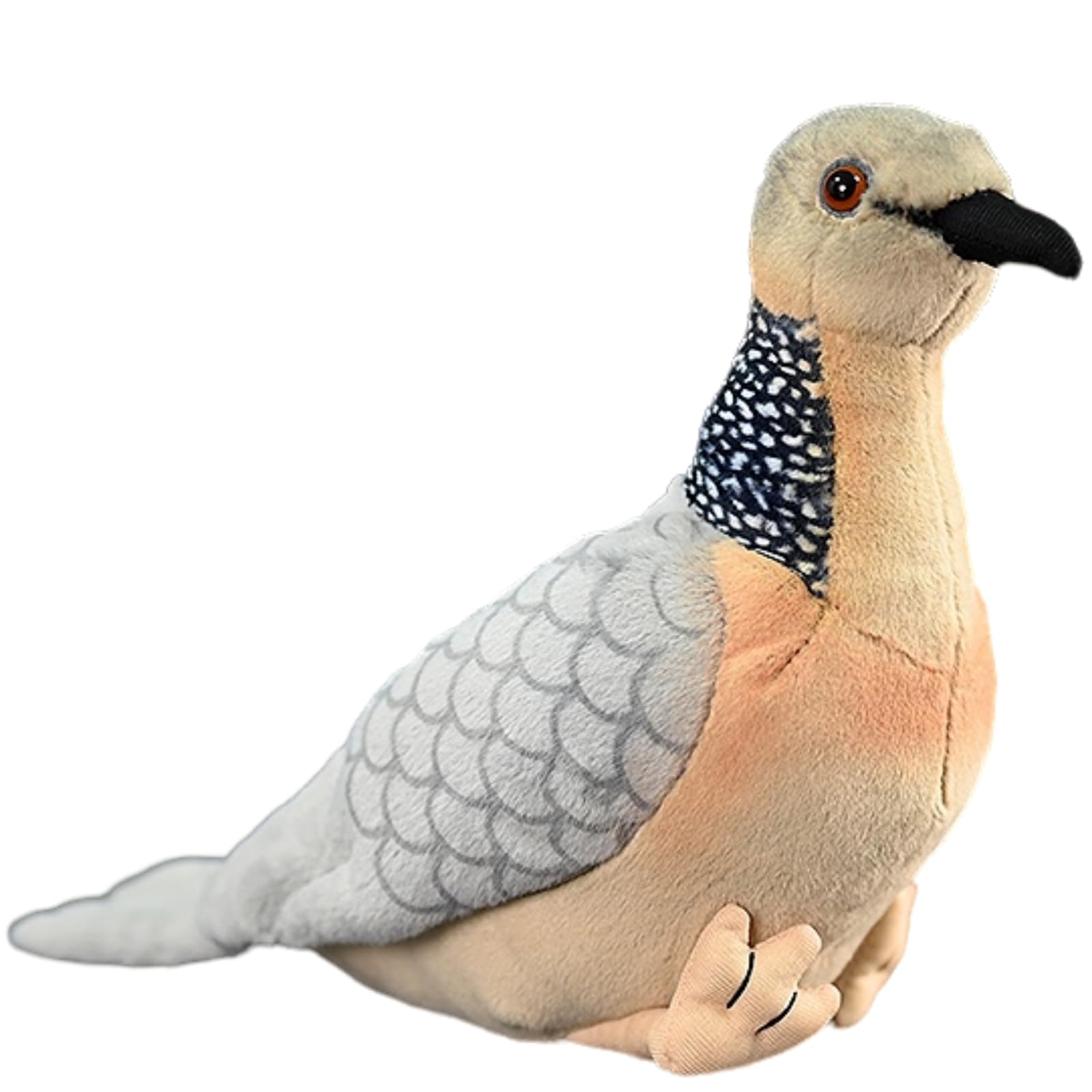 Amazon.com: POPOTATO Realistic Spotted Dove Plush - 9'' Turtle Dove ...