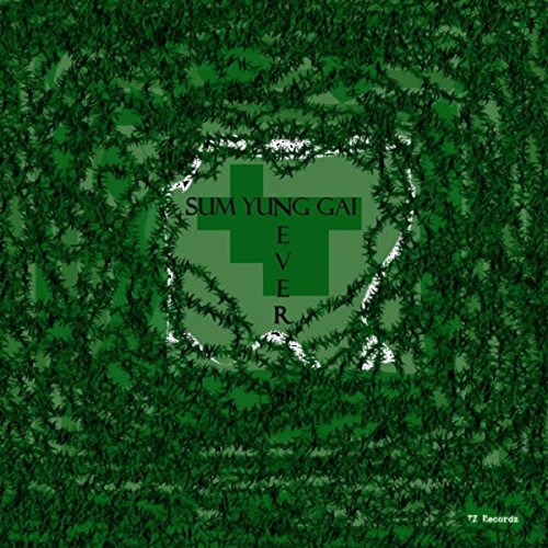 Never by Sum Yung Gai on Prime Music