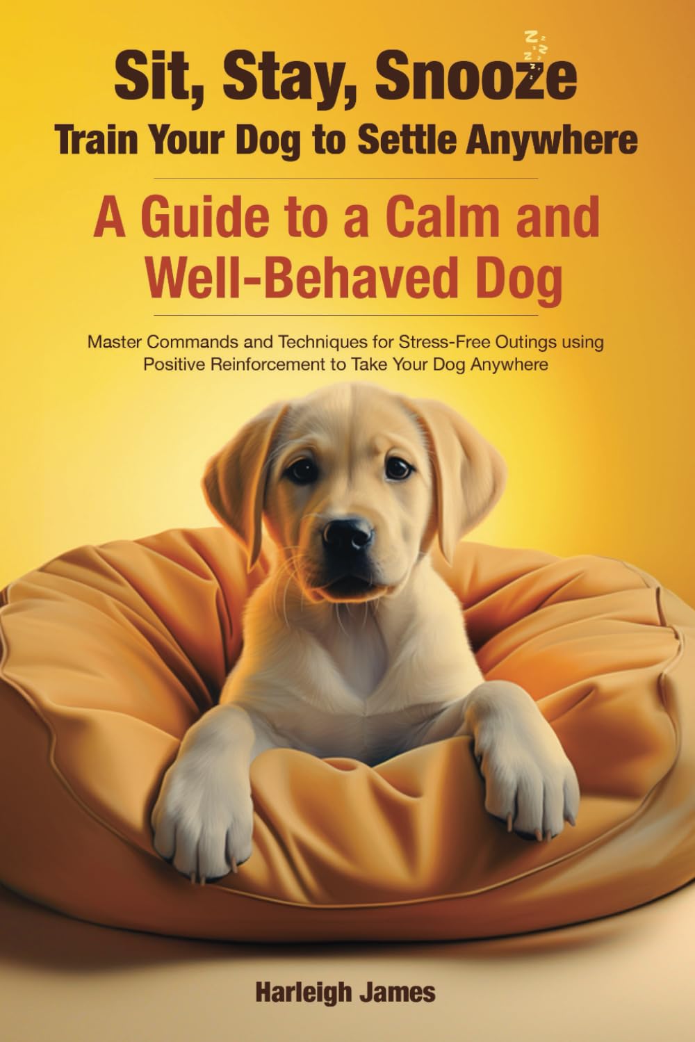 Sit, Stay, Snooze: Teach Your Dog to Settle and Relax - A fun, simple ...