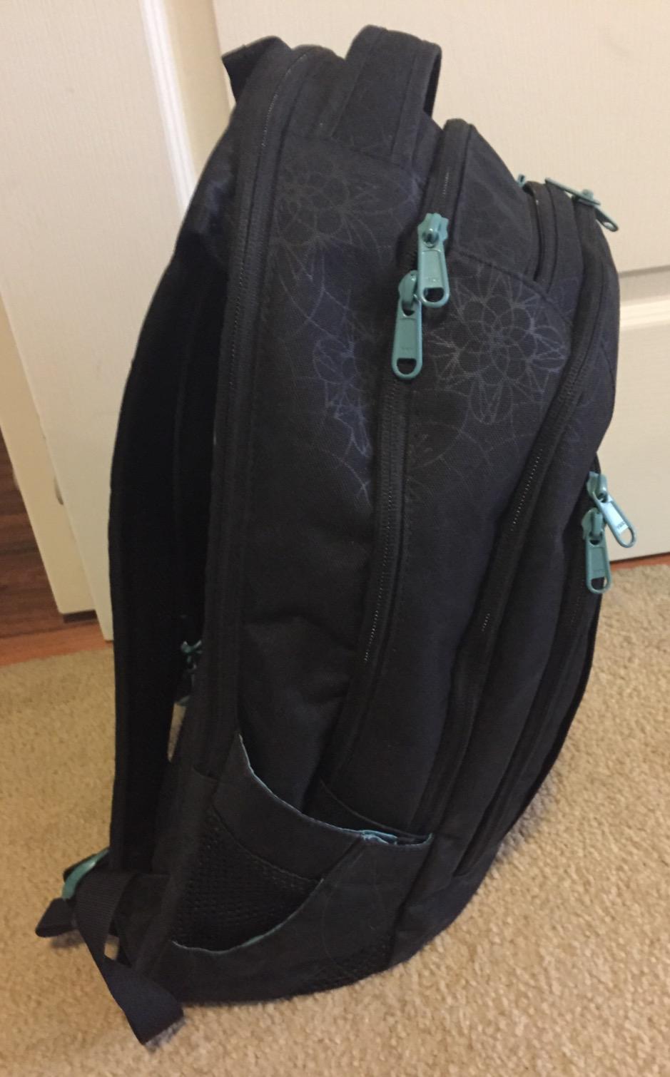 Amazon.com: Dakine Women's Frankie Backpack, Jada, 26L : Electronics