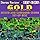 Various Artists - Stereo Review & Chesky Records: Gold Stereo And ...