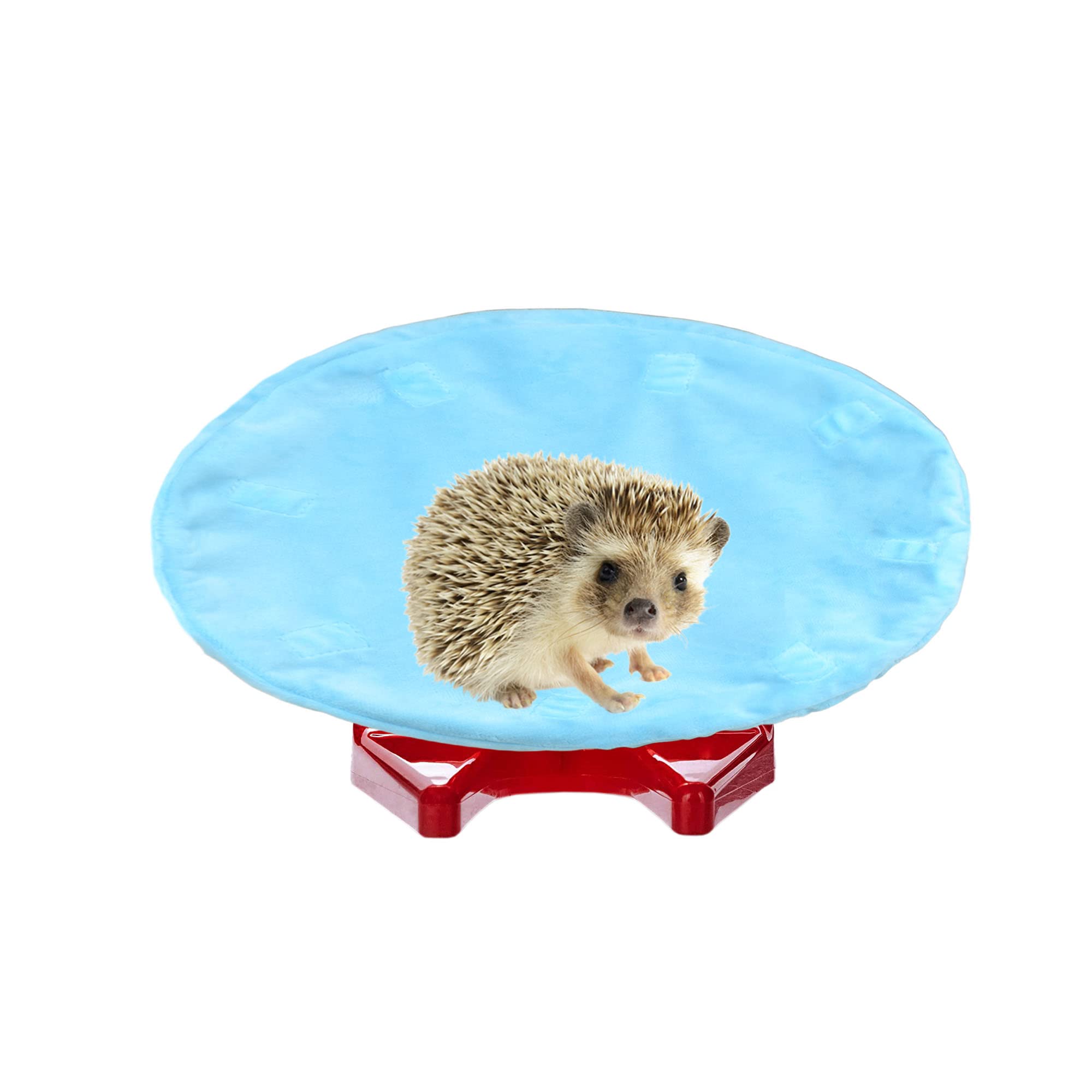 Hedgehog Poop On Wheel