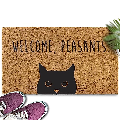 Best Cool Doormats to Welcome Your Guests in Style" - Totally Reviewed