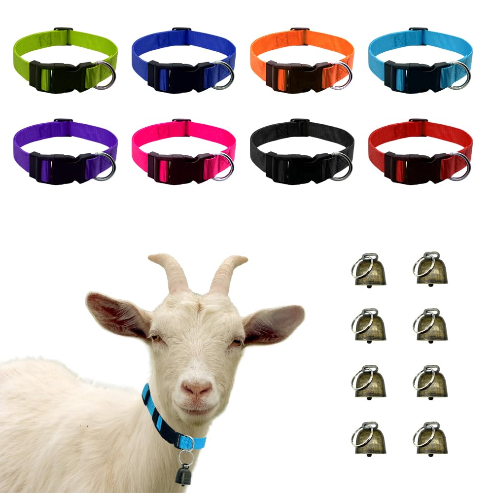 Snapklik.com : Oiloda 8 Pack Goat & Sheep Collar