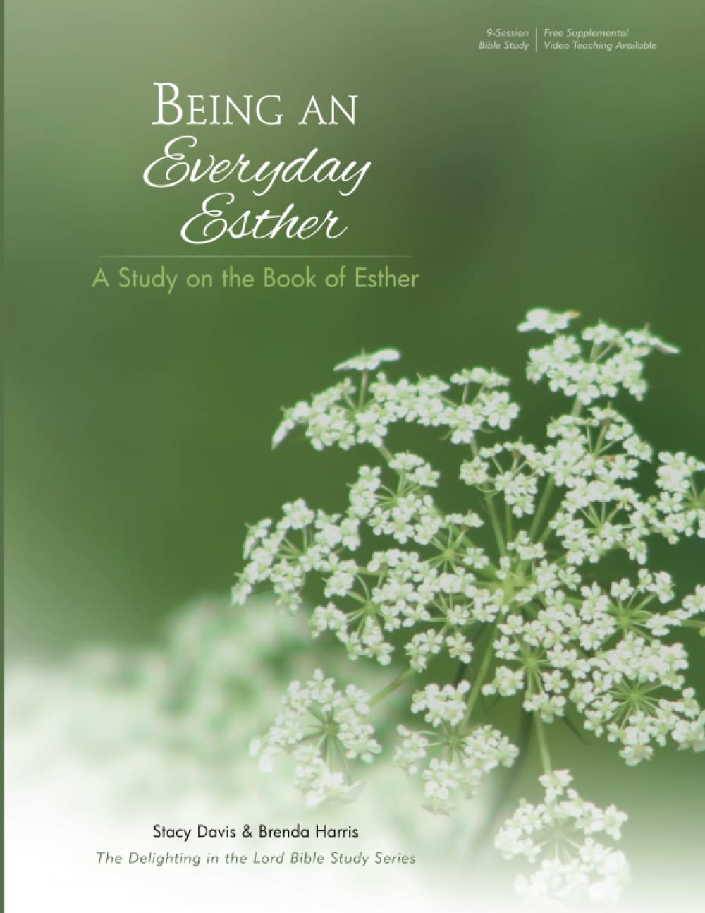 Being An Everyday Esther: A Study on the Book of Esther (Delighting in ...