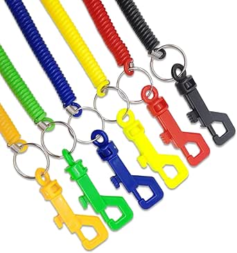 Amazon.com: Joyzol Retractable Coil Springs Keychain, 10PCS Multicolor ...
