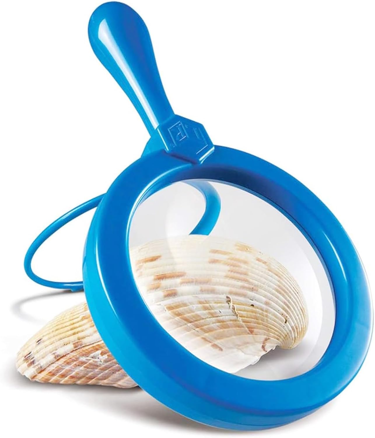 Amazon.com: Rongon Magnifying Glasses for Kids, Jumbo Magnifiers with ...