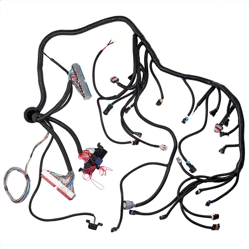 Amazon.com: T56 DBC LS1 Standalone Wiring Harness Drive by Cable ...