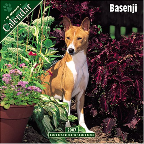 Basenji 2007 Wall Calendar: 9781846620102: Amazon.com: Books