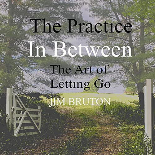 Amazon.com: The in Between: A Trip of a Lifetime (Audible Audio Edition ...