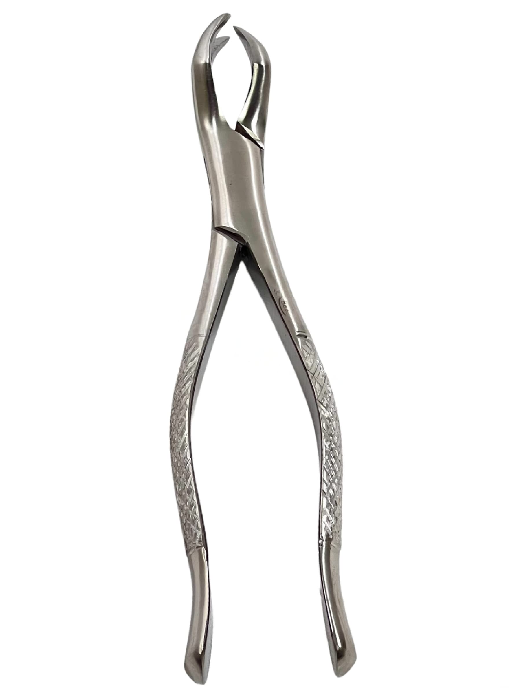 Amazon.com: Dental Extracting Forceps Extracting Forceps #88R Upper ...