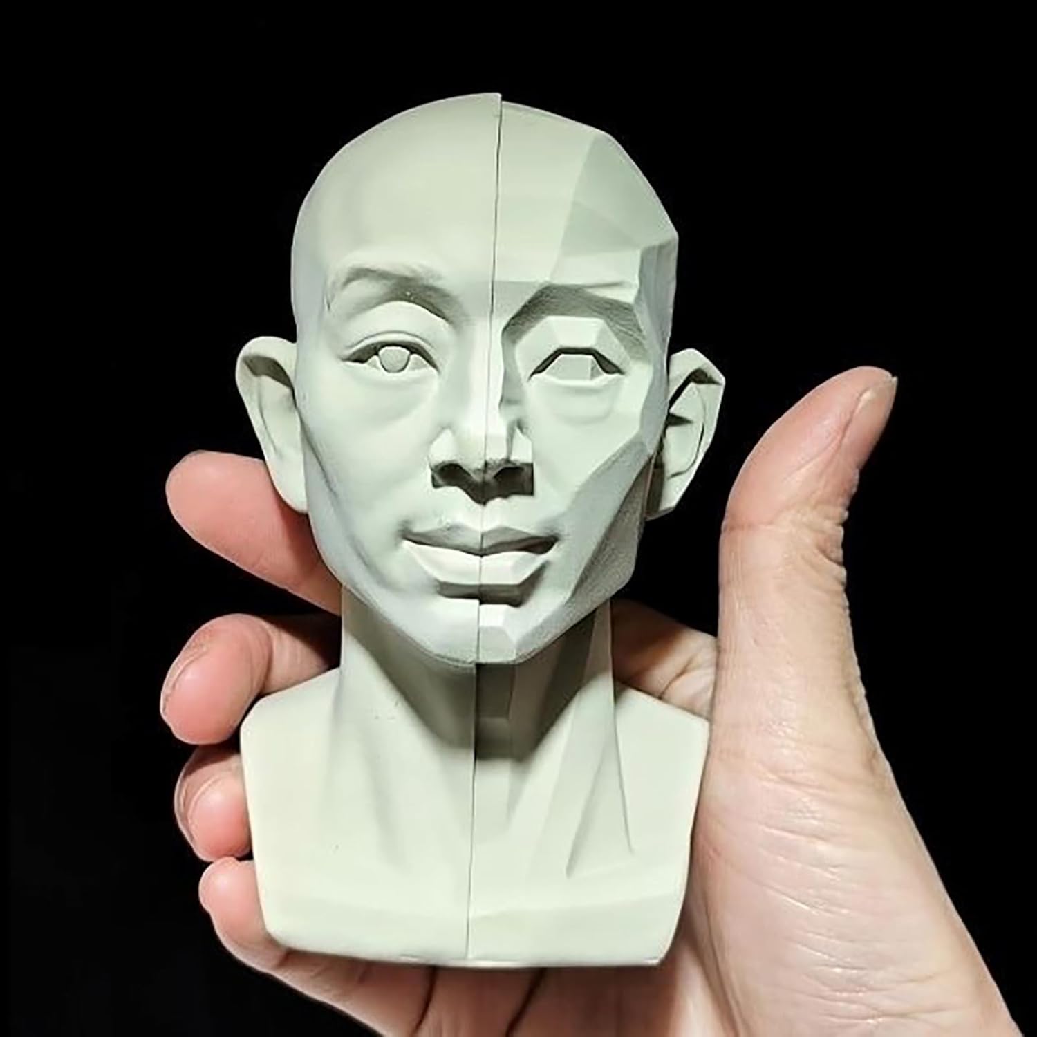 Amazon.com: Generic Head Model for Artists, 2in1 Original & Planar Face ...