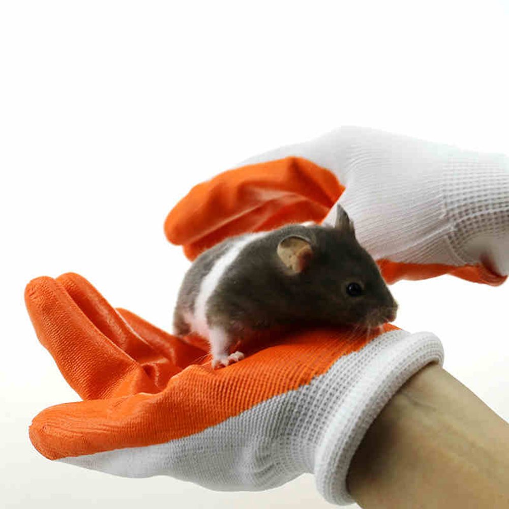 OMEM Protective Gloves to Avoid Biting the Hands by Hamsters(1 Pair ...