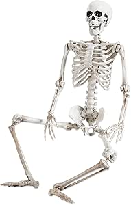 Amazon.com : Abakuku 36" Halloween Skeleton Decorations,Human Bones for ...