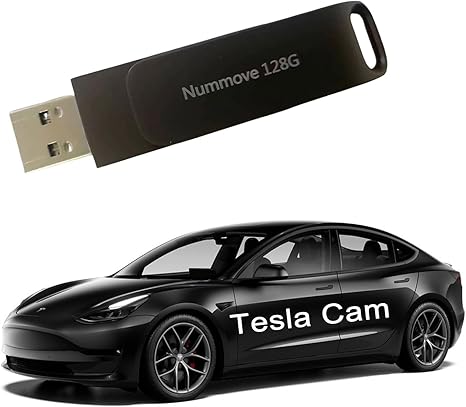 Amazon.com: Tesla Dashcam and Sentry Portable SSD Flash Drive with USB ...