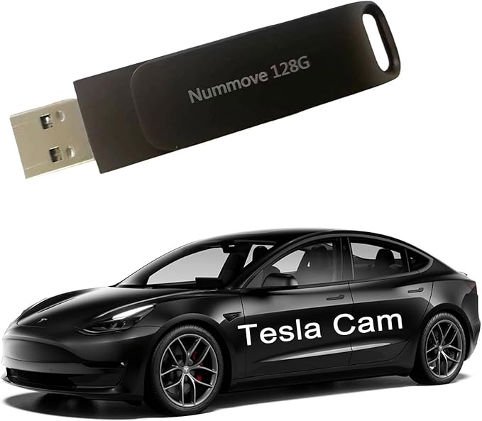 Amazon.com: Tesla Dashcam and Sentry Portable SSD Flash Drive with USB ...