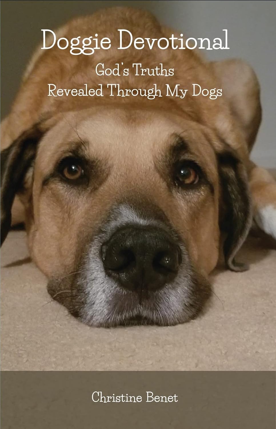 Doggie Devotional: God's Truths Revealed Through My Dogs - Kindle ...