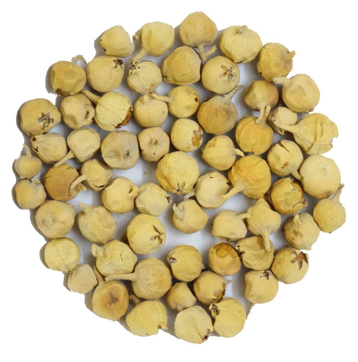 Buy CLASSICO Paneer DODI Paneer Phool | Paneer Doda | Indian Rennet ...