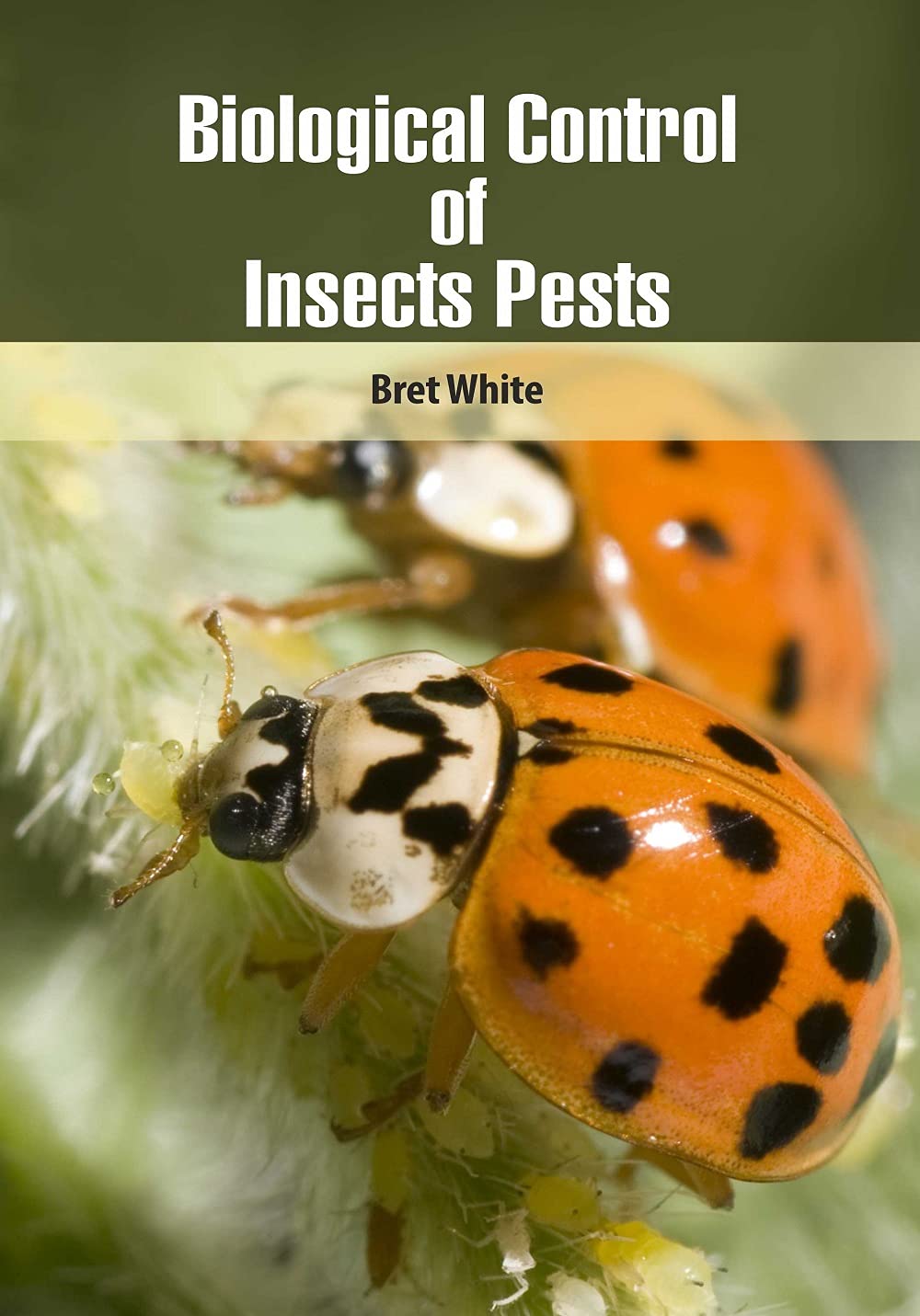 Biological Control of Insects Pests by Bret White: Amazon.co.uk: Bret ...