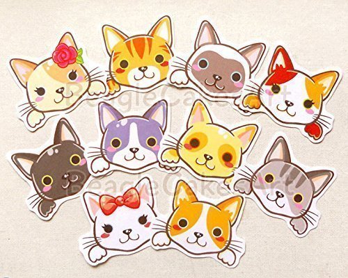 Amazon.com: Cat Stickers. Kawaii Stickers. Animal Stickers. Gift for ...