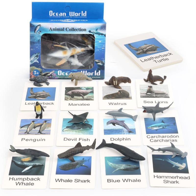 Buy Montessori Animal Match Game Cards Marine Animal Matching ...