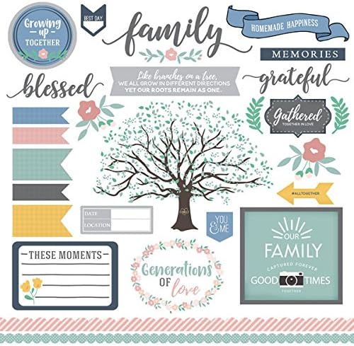 Amazon.com: Paper House Family Collection Blessed Family Clear ...