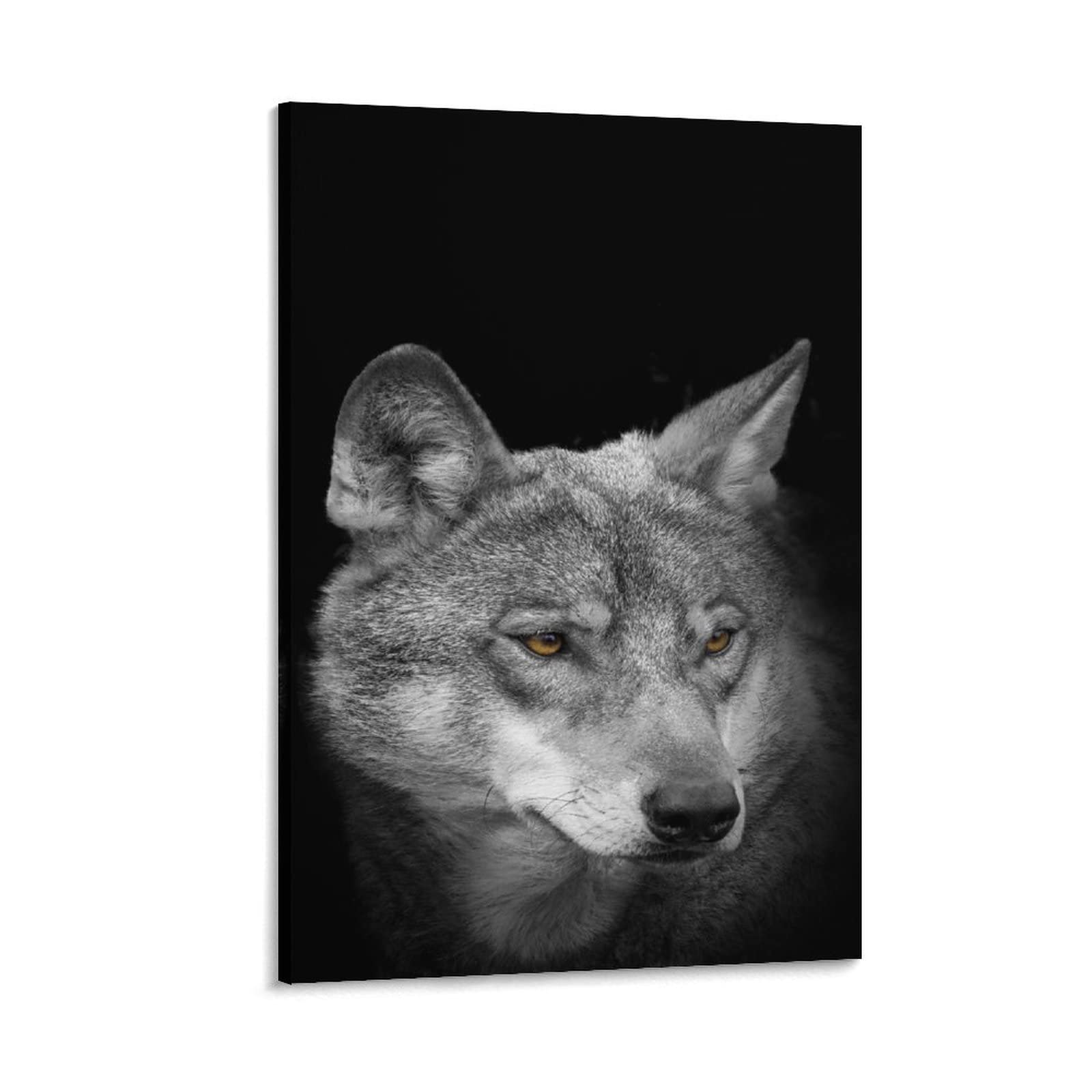 Grey Wolf Backgrounds