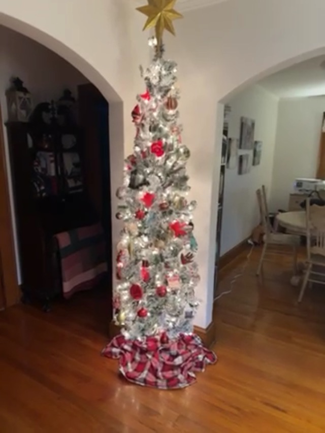 Watch Gorgeous 7.5 foot pencil tree. Even Better in Person! on Amazon Live