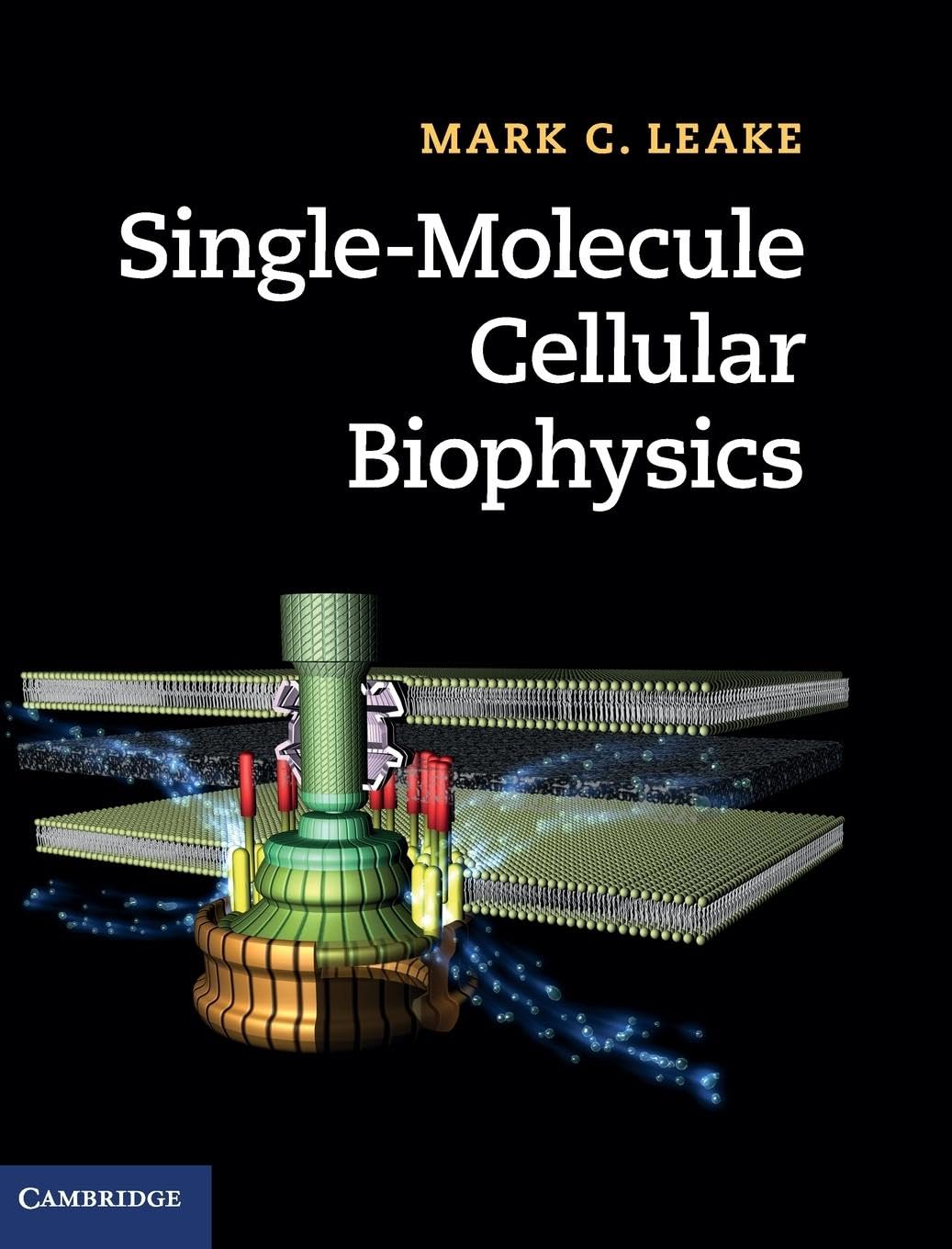Amazon.com: Single-Molecule Cellular Biophysics: 9781107005839: Leake ...
