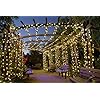 Amazon.com: MMNKLD 3-Ft Tree Hanging Lights for Weddings and Events ...