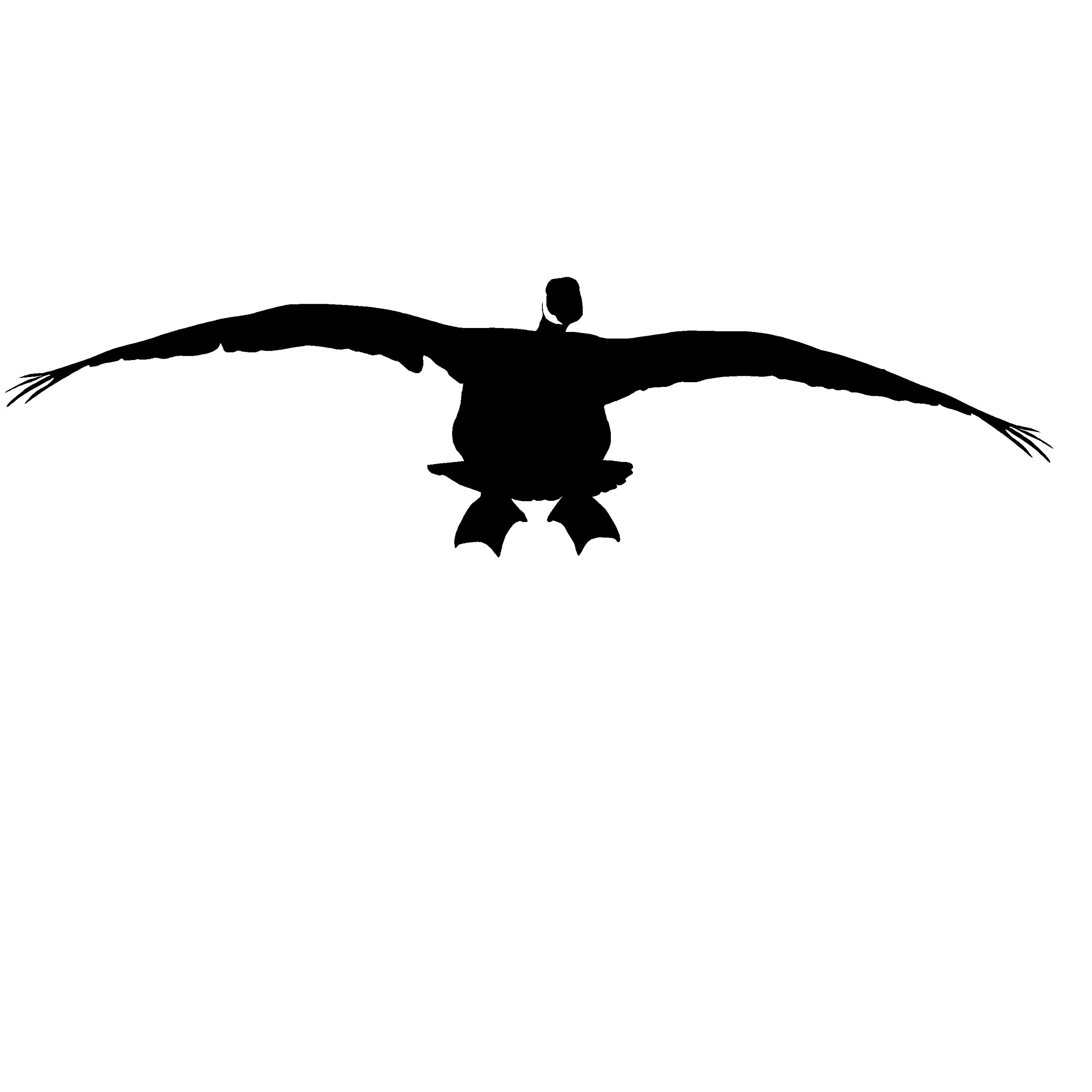 Geese Landing Decals