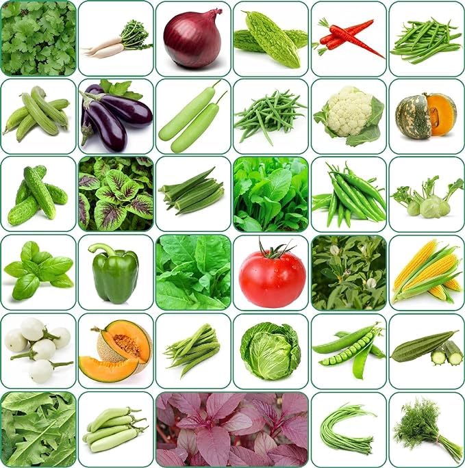 VIHAAN Fresh Vegetable Organic and Hybrid Seeds for All-Season | Easy ...