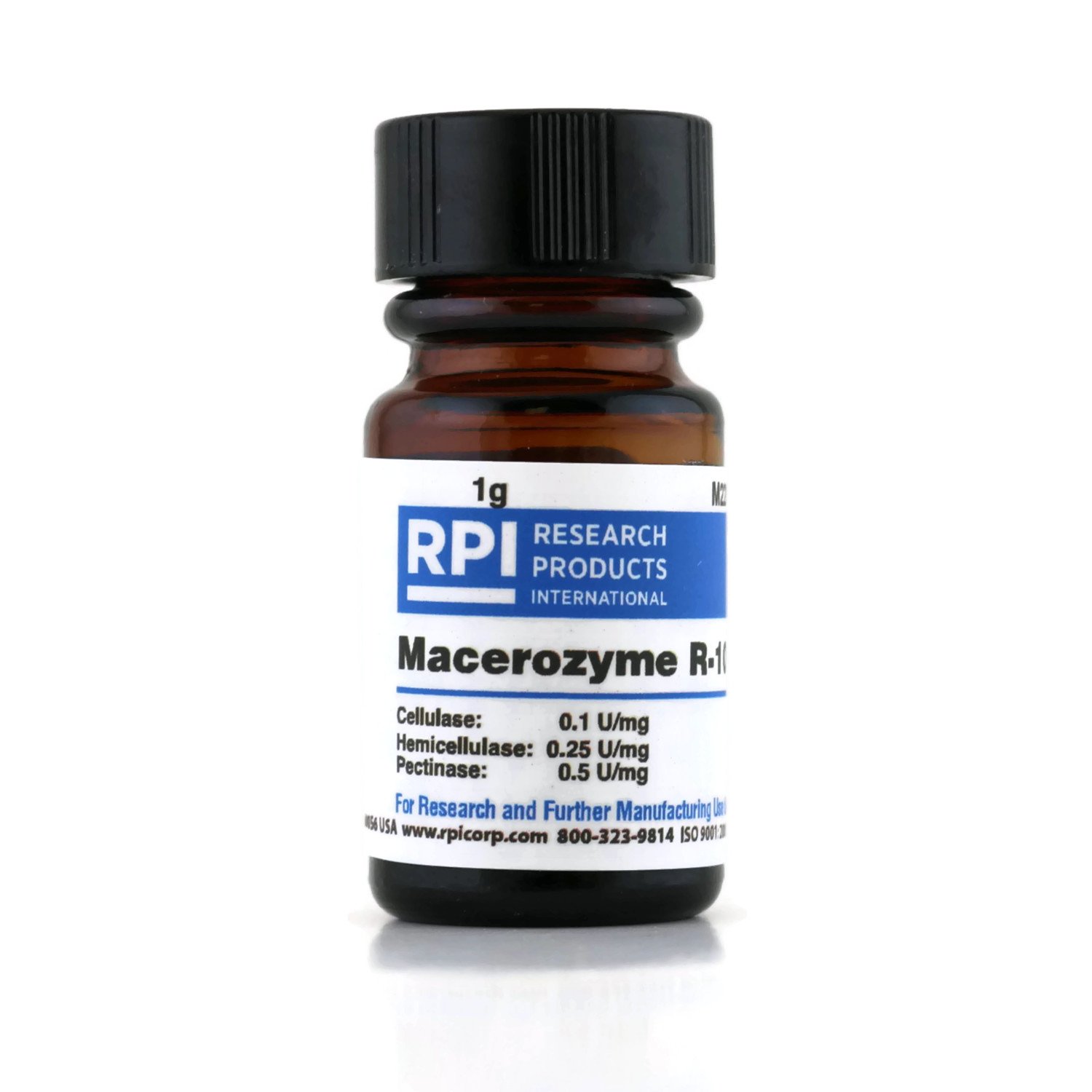 Amazon.com: Macerozyme R-10, 1 Gram : Industrial & Scientific